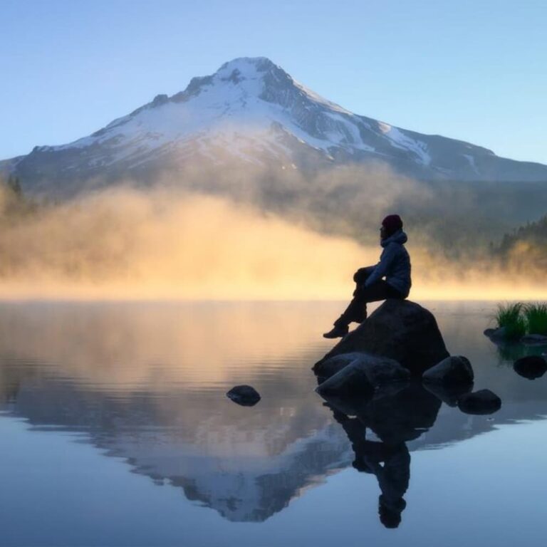 Welcome - Rose Foundation